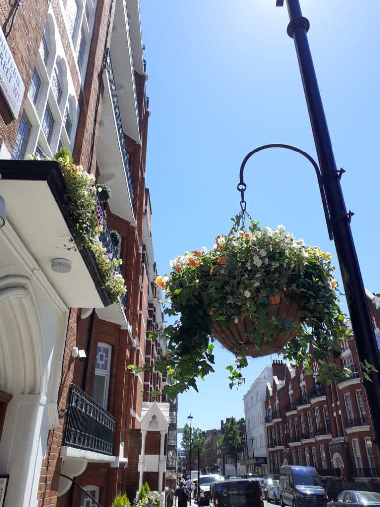 Daily Delights – bristowbovey.com